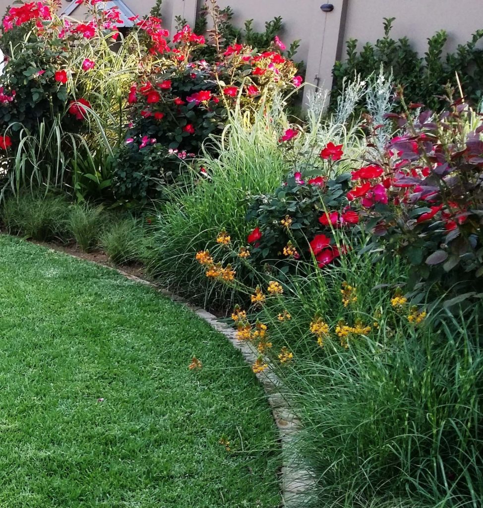 Creating a dazzling effect by combining roses and grasses