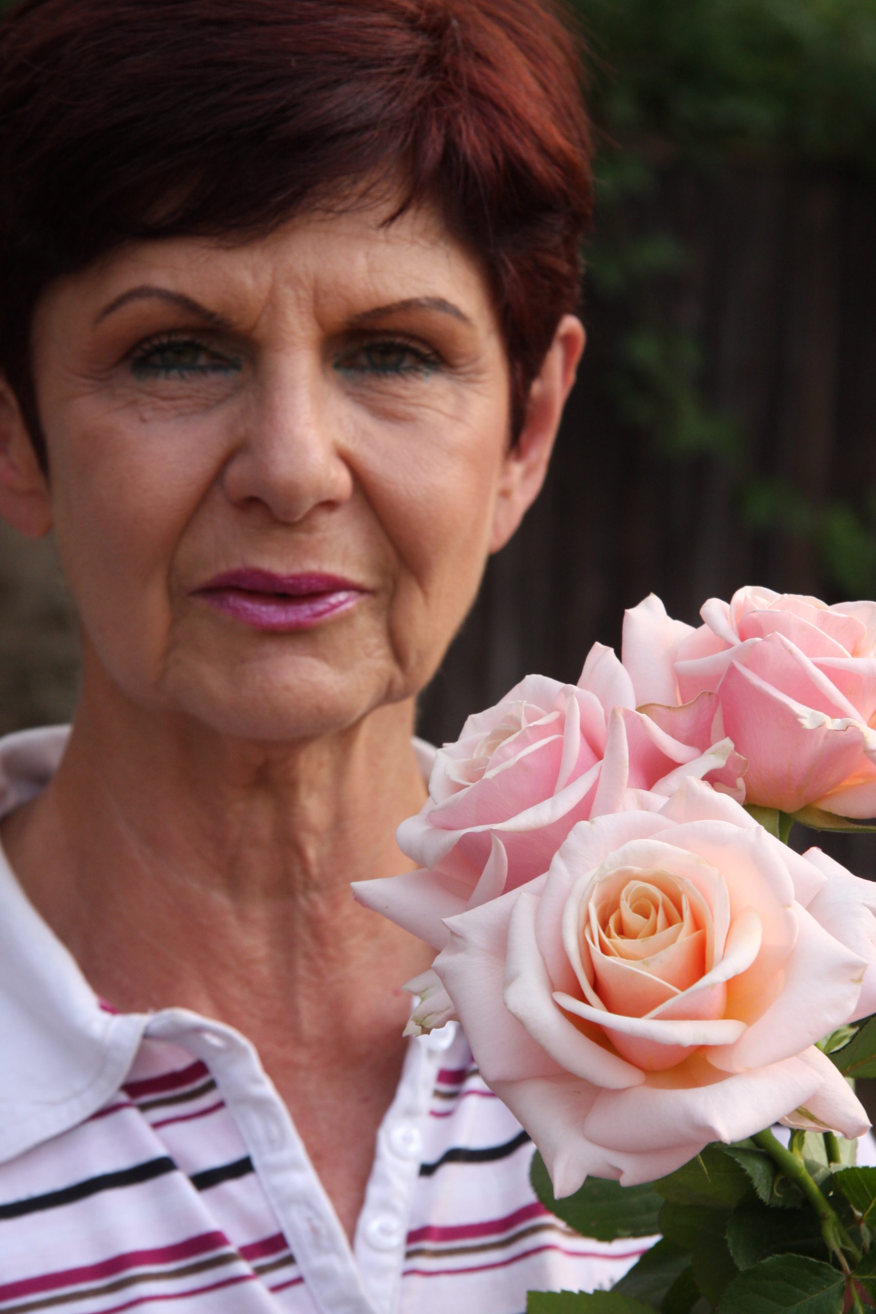 Roses that landscapers love - Ludwig's Roses