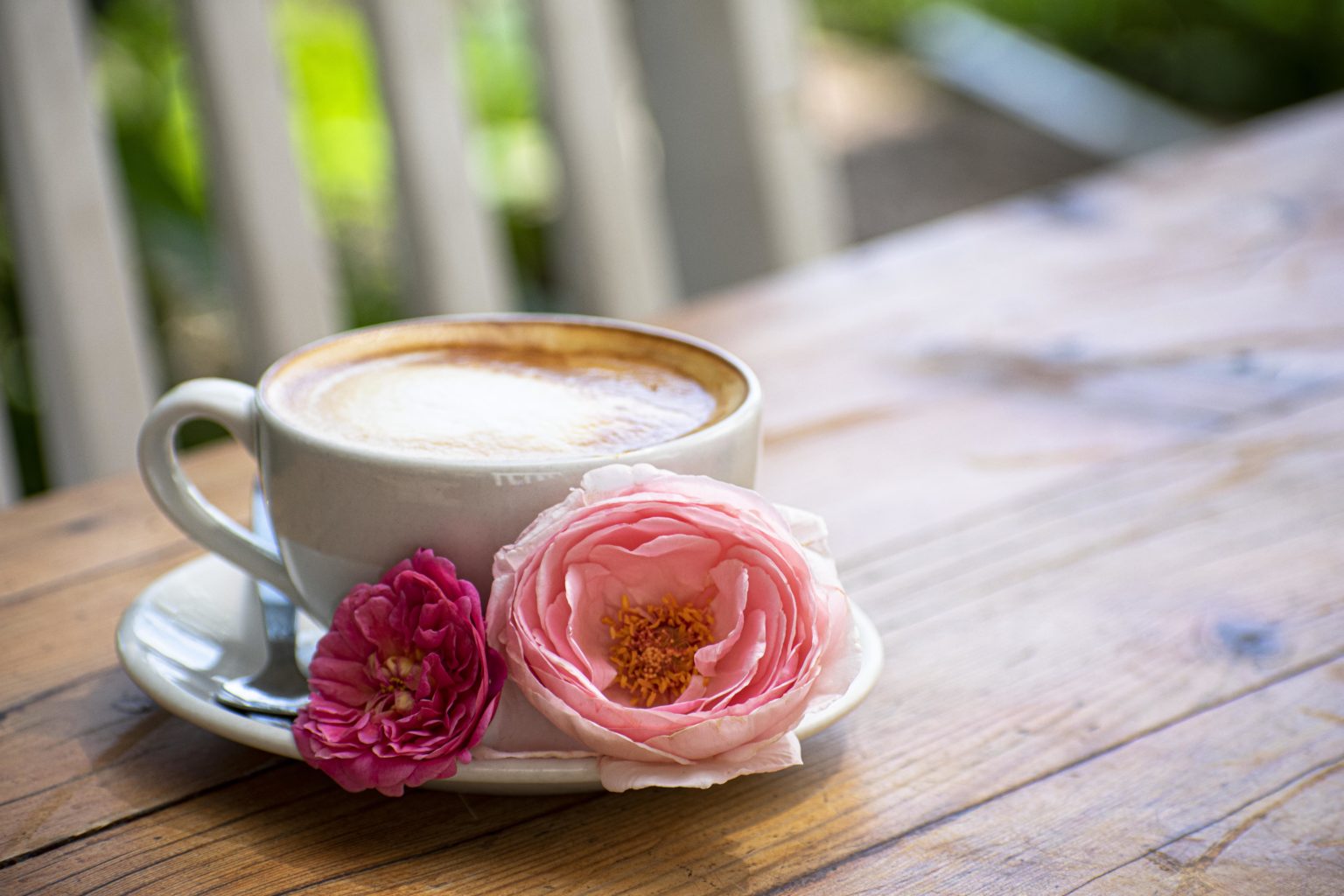 The Rose Kitchen - Ludwig's Roses