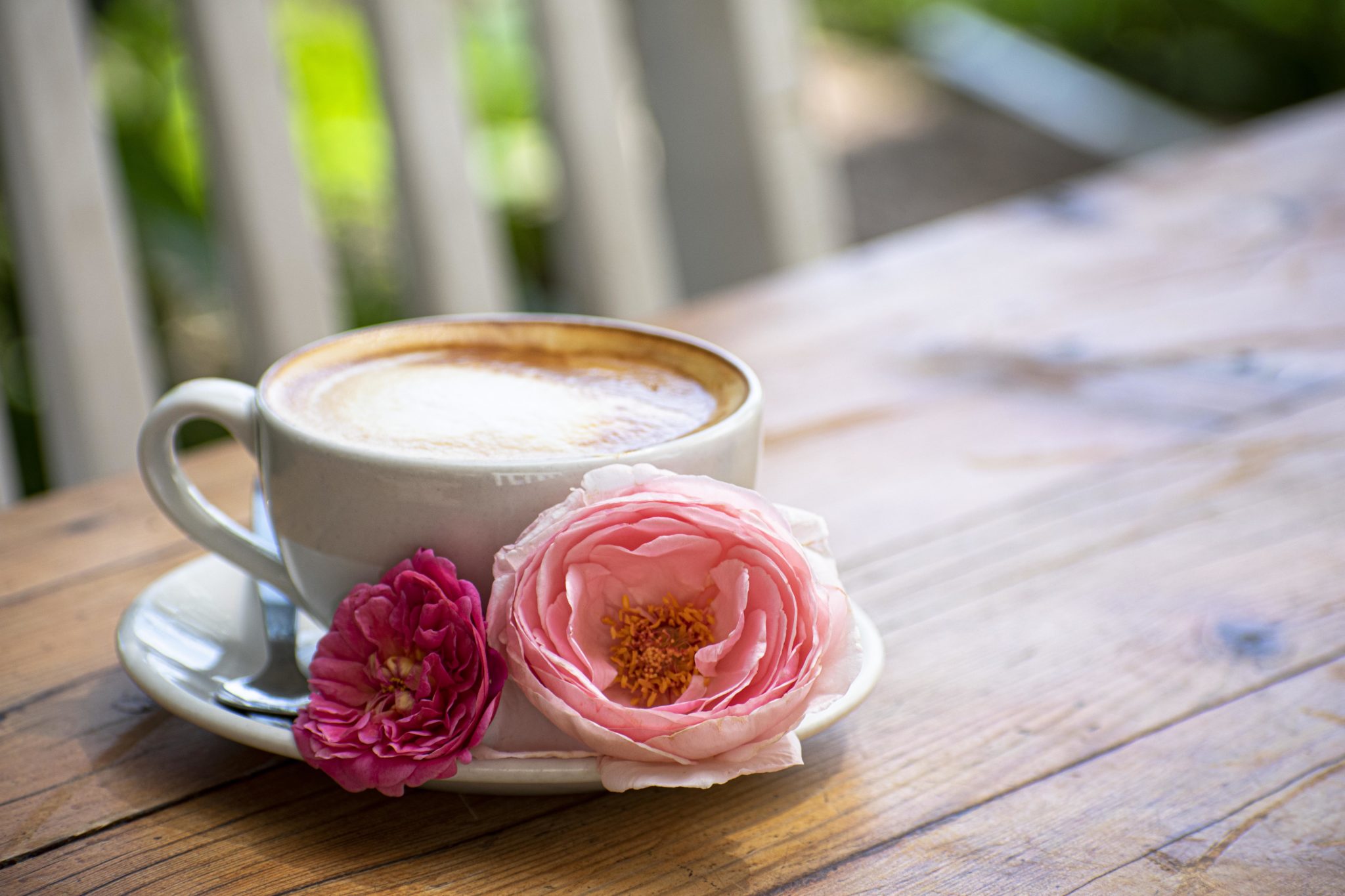 The Rose Kitchen - Ludwig's Roses
