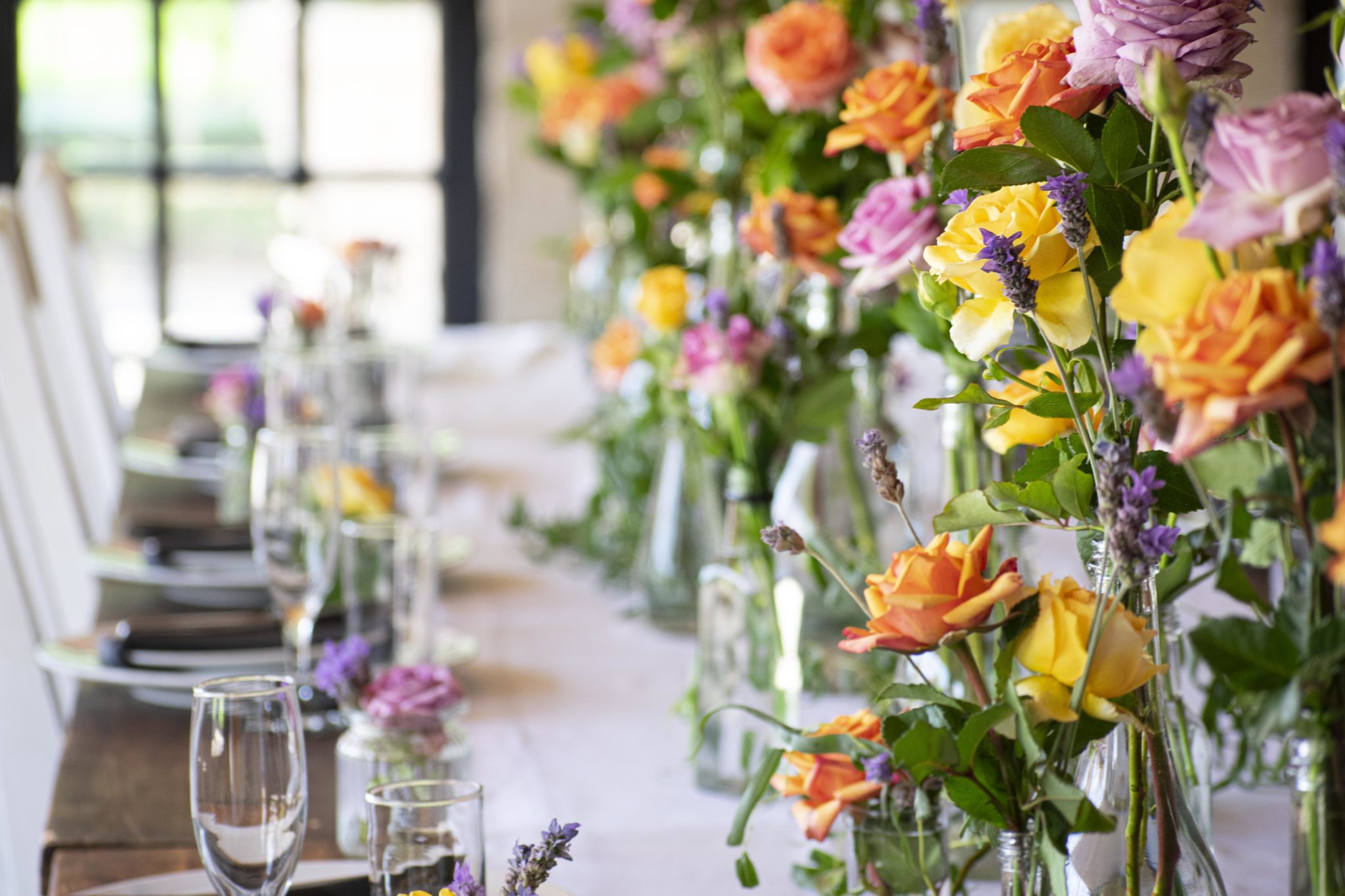The Rose Kitchen - Ludwig's Roses