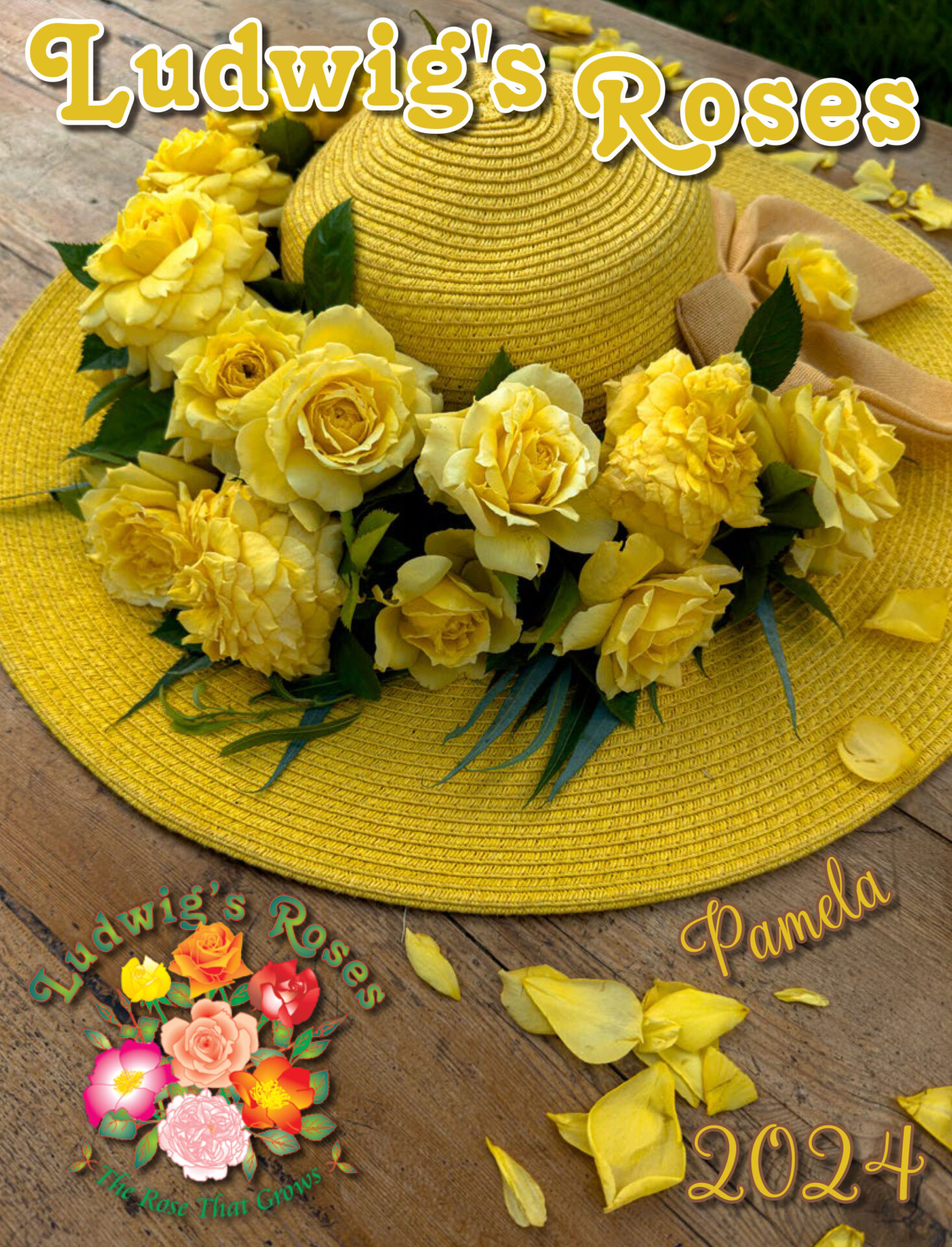 2024 Catalogue Ludwigs Roses