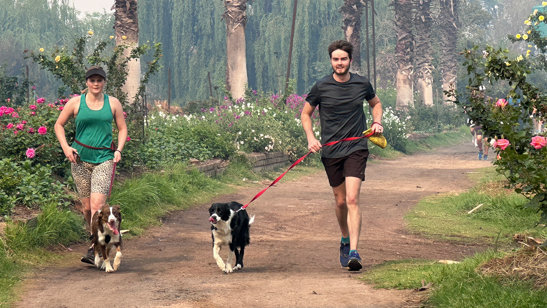 Roses Parkrun - The dog friendly Parkrun